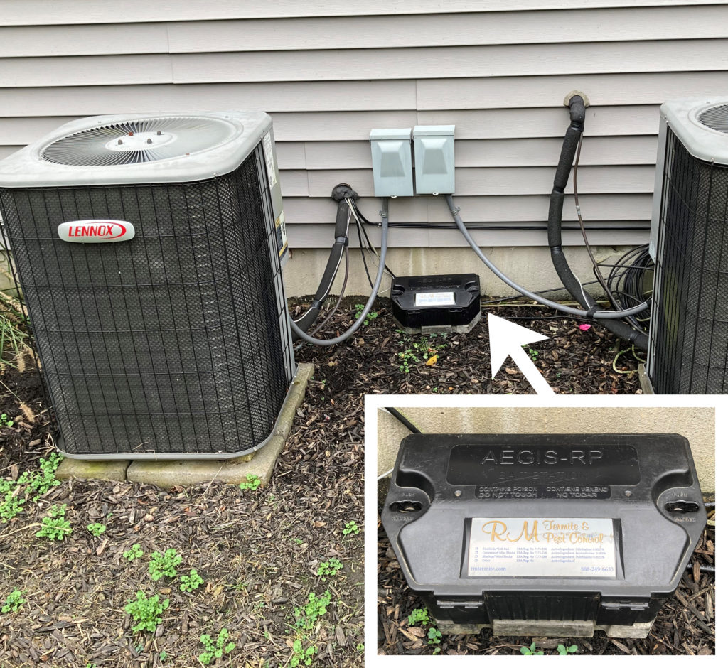 Rodents Kill Generators - Here's How to Stop Them - P3 Generator Services